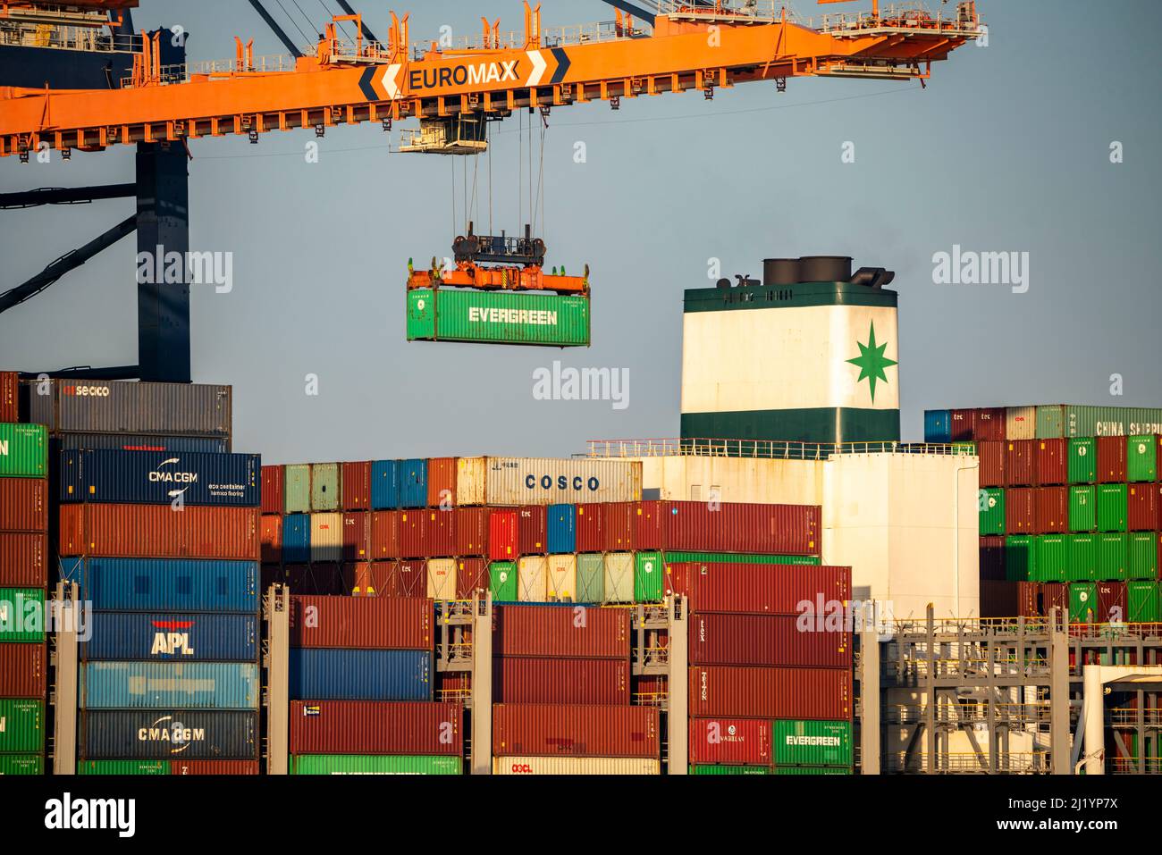Container ship of shipping company Evergreen, Ever Grade, being loaded ...