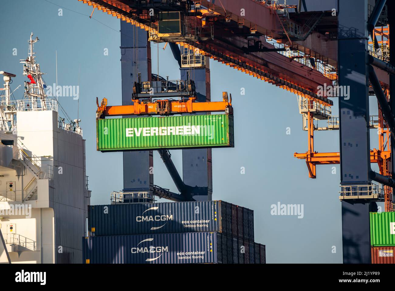 Container ship of shipping company Evergreen, Ever Grade, being loaded ...