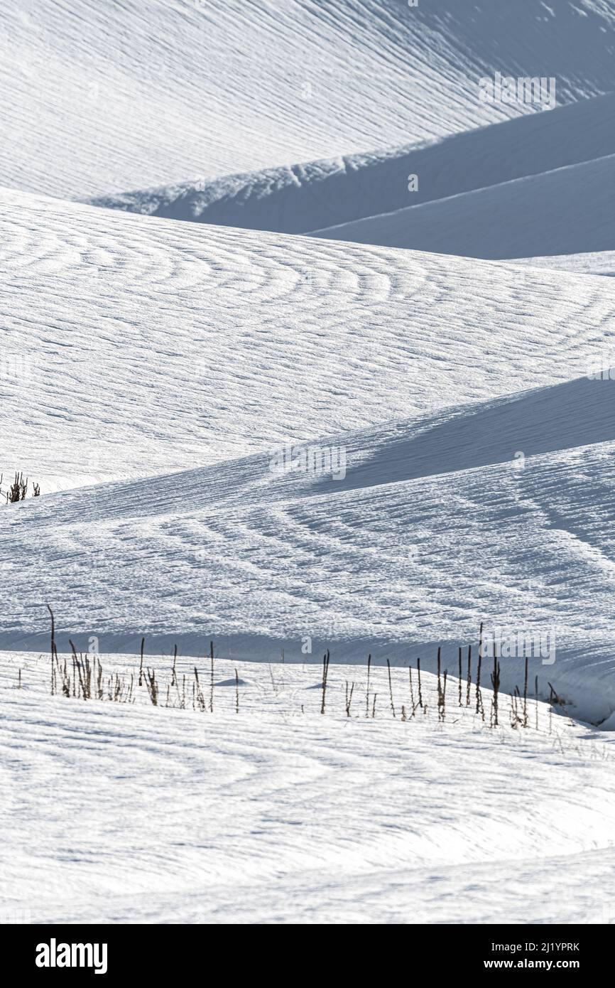 Winter Landscape in the Palouse Stock Photo - Alamy