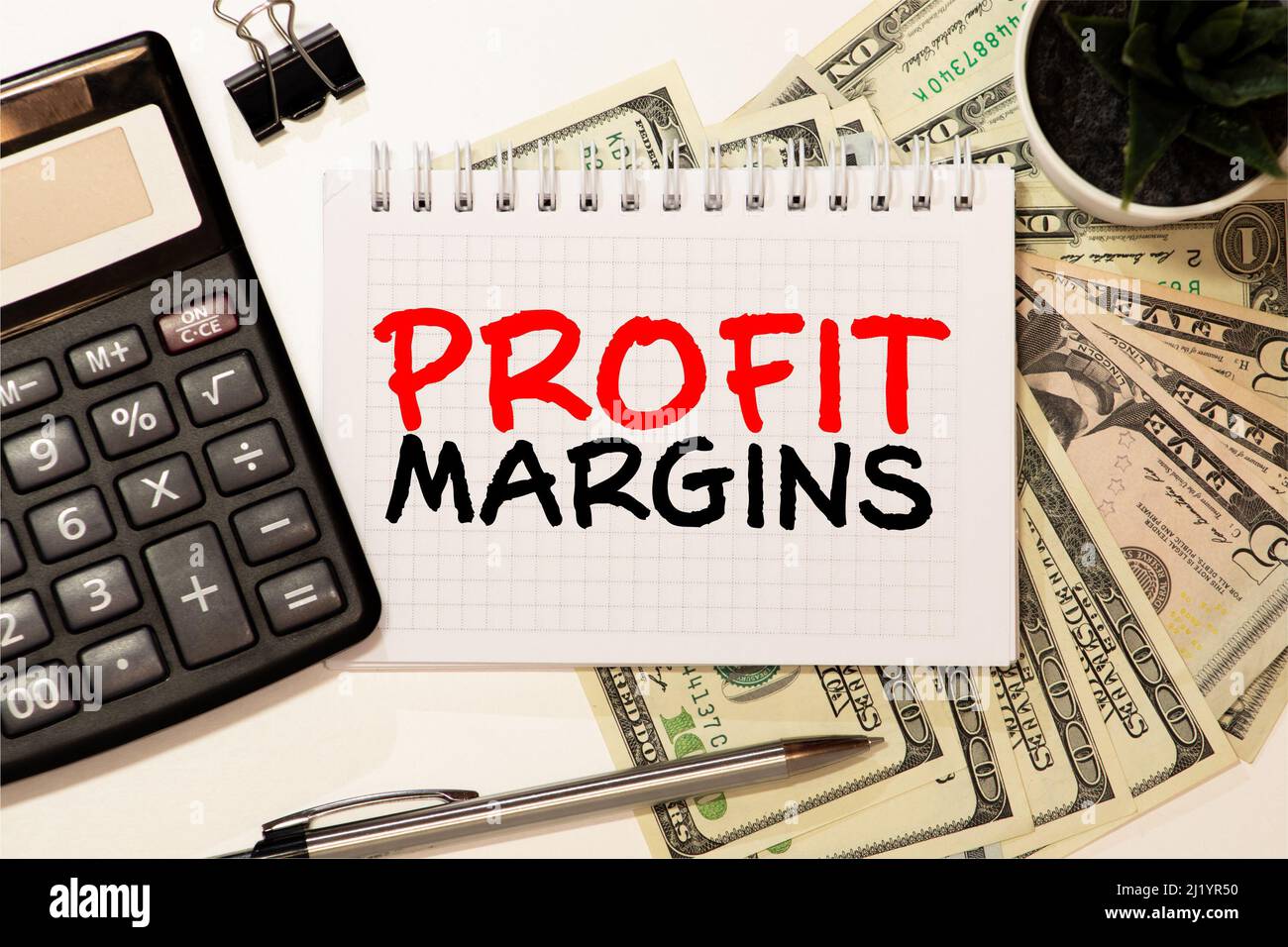 PROFIT MARGIN and Businessman drawing Landing Page on white background ...