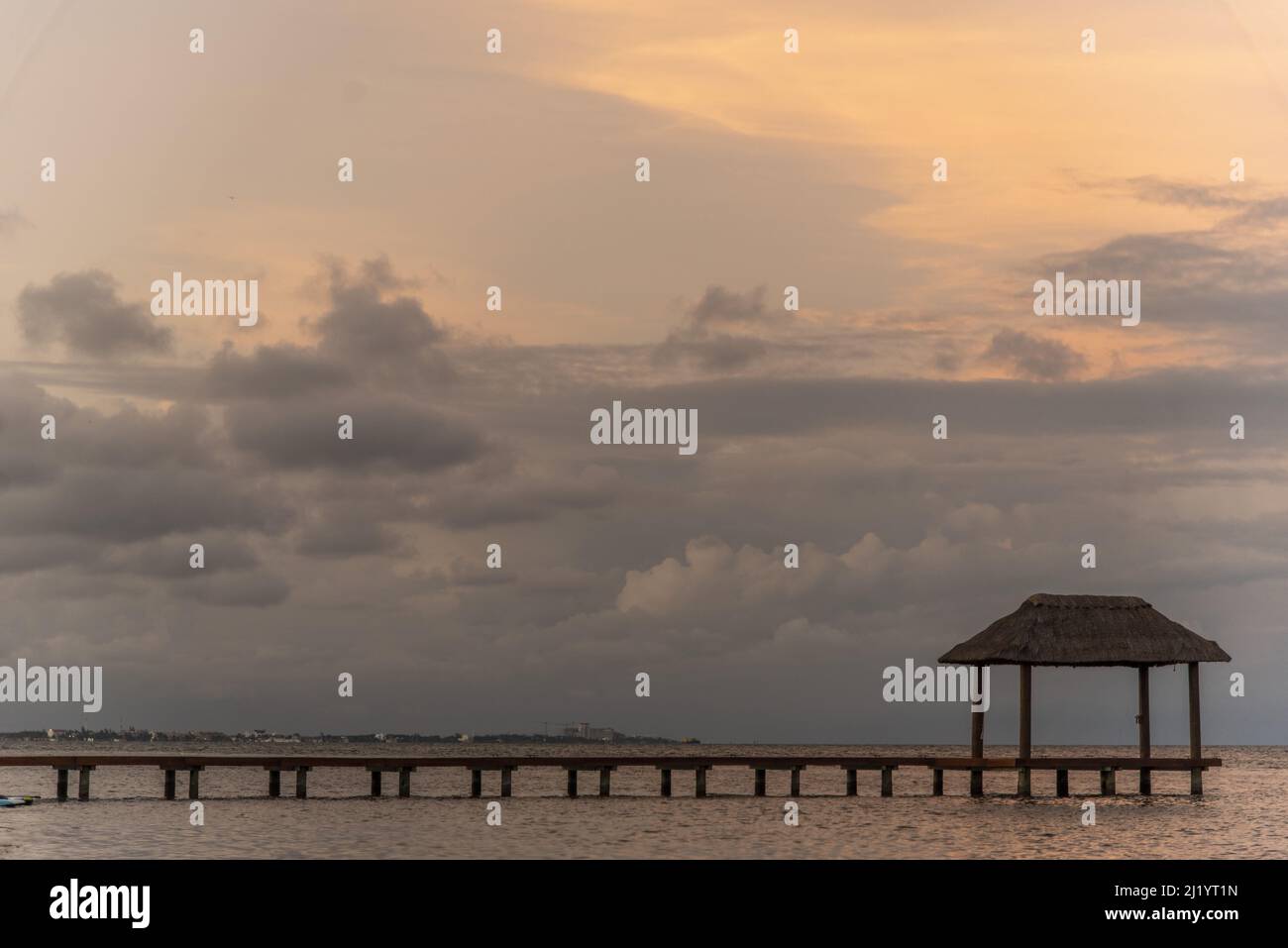 The beautiful nature of Cancun, Mexico Stock Photo - Alamy
