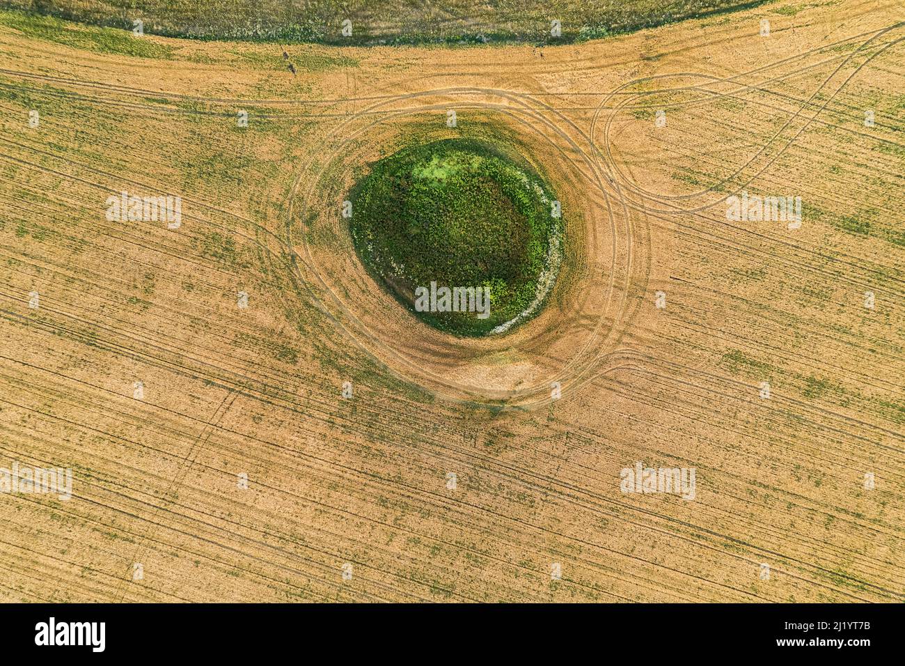 Fly over the field after harvest. An even circle of untouched ...