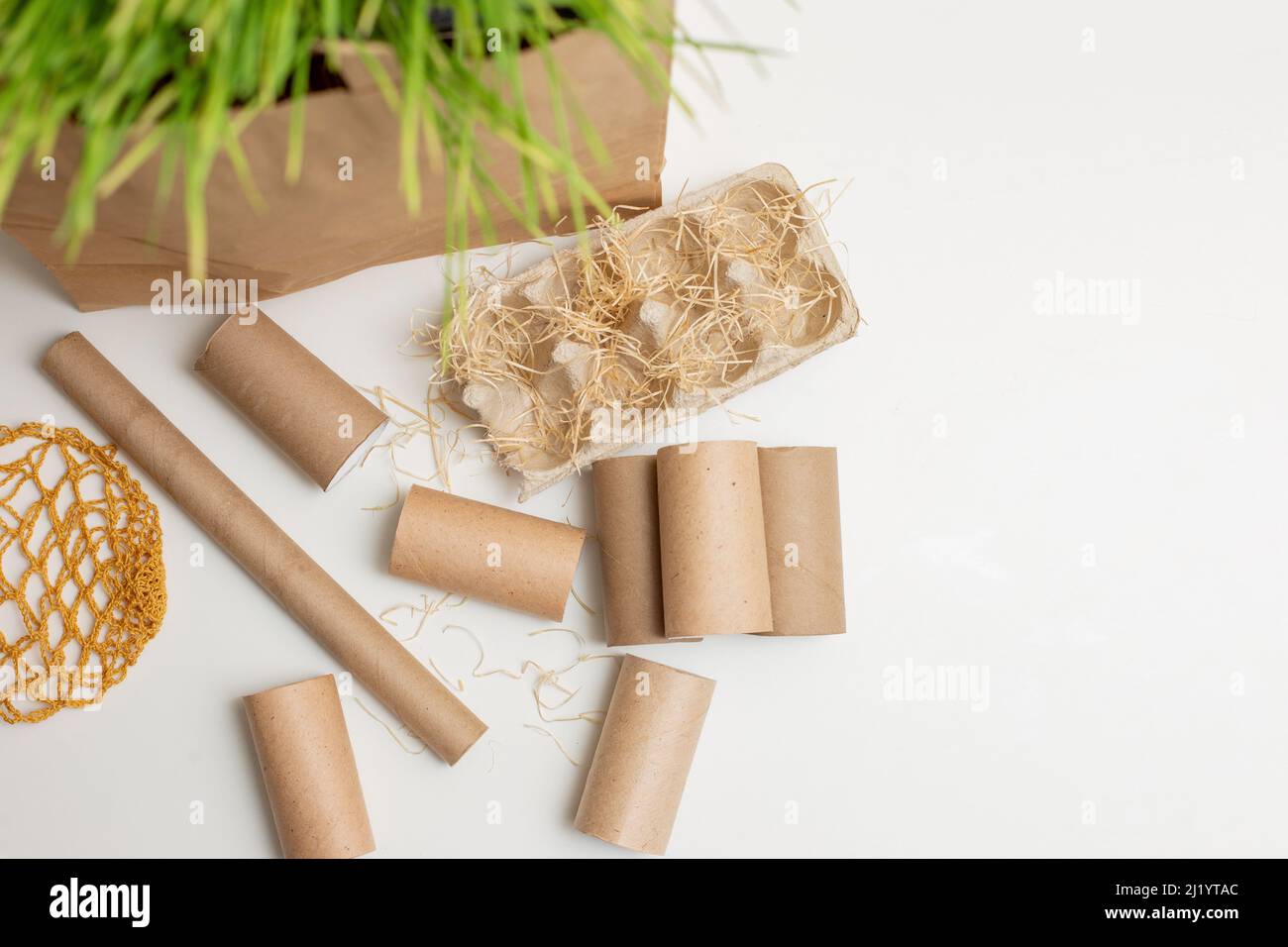 Reuse toilet roll cardboard hi-res stock photography and images - Alamy