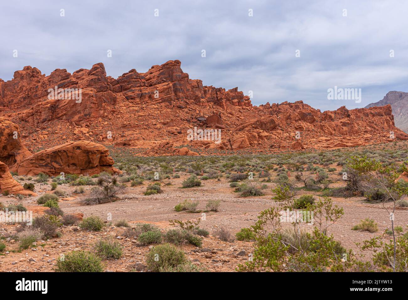 Overton, Nevada, USA - March 11, 2016: Valley of Fire. Landscape with ...