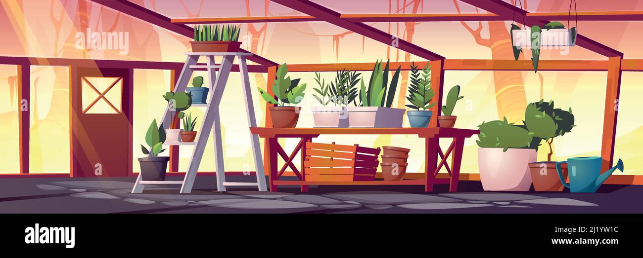 Glass greenhouse with plants, trees and flowers. Vector cartoon ...