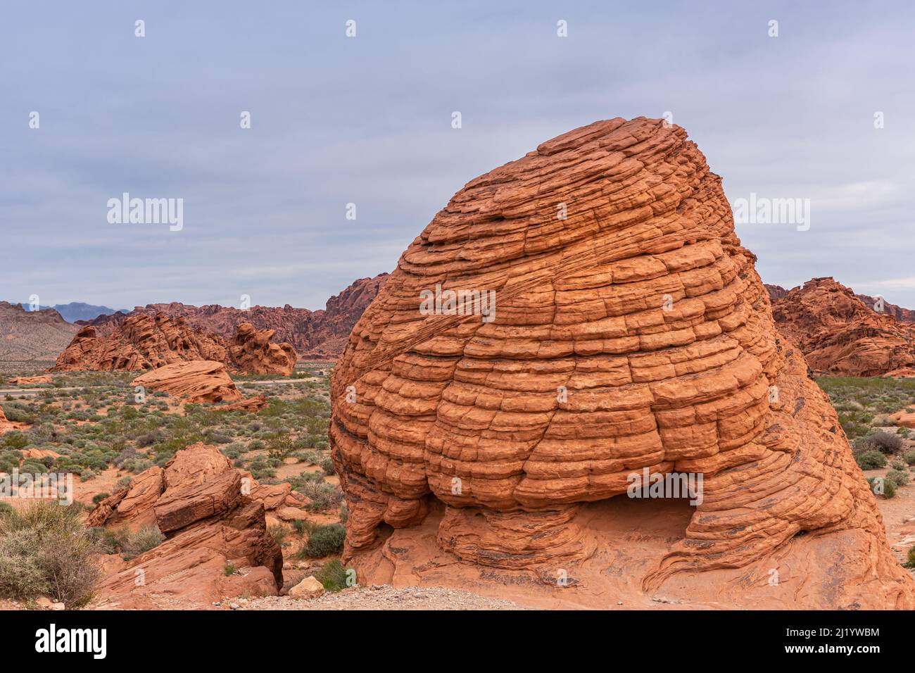 Bee hive on the rock hi-res stock photography and images - Alamy