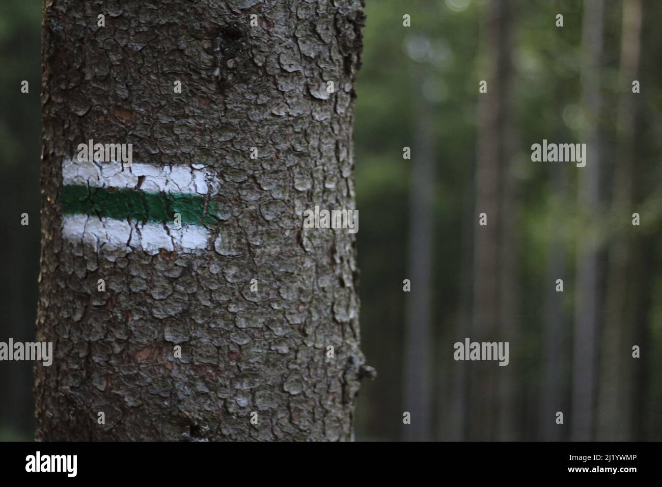 Green marked hi-res stock photography and images - Alamy