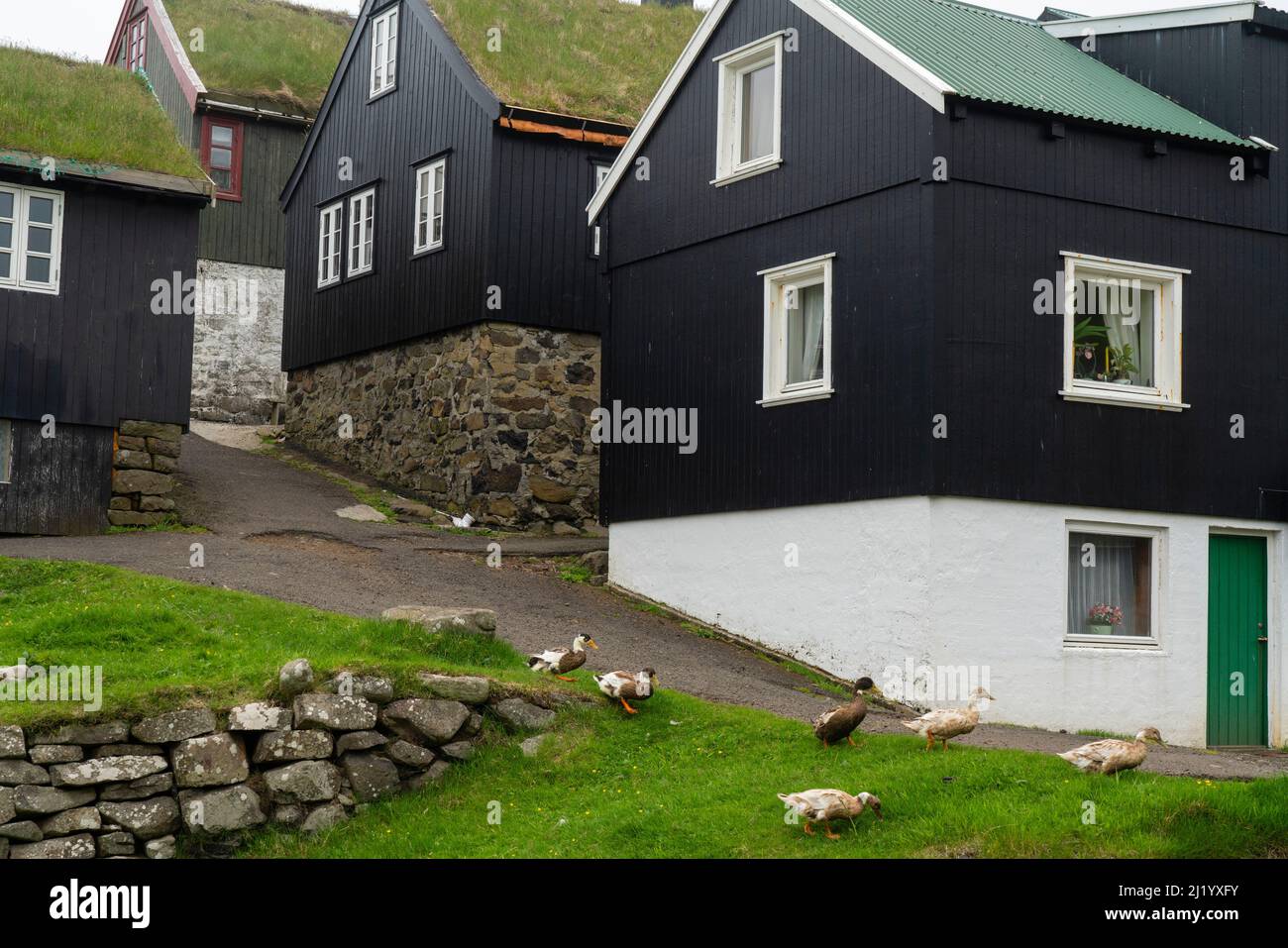 Mykines Island, Faroe Islands, Denmark Stock Photo - Alamy