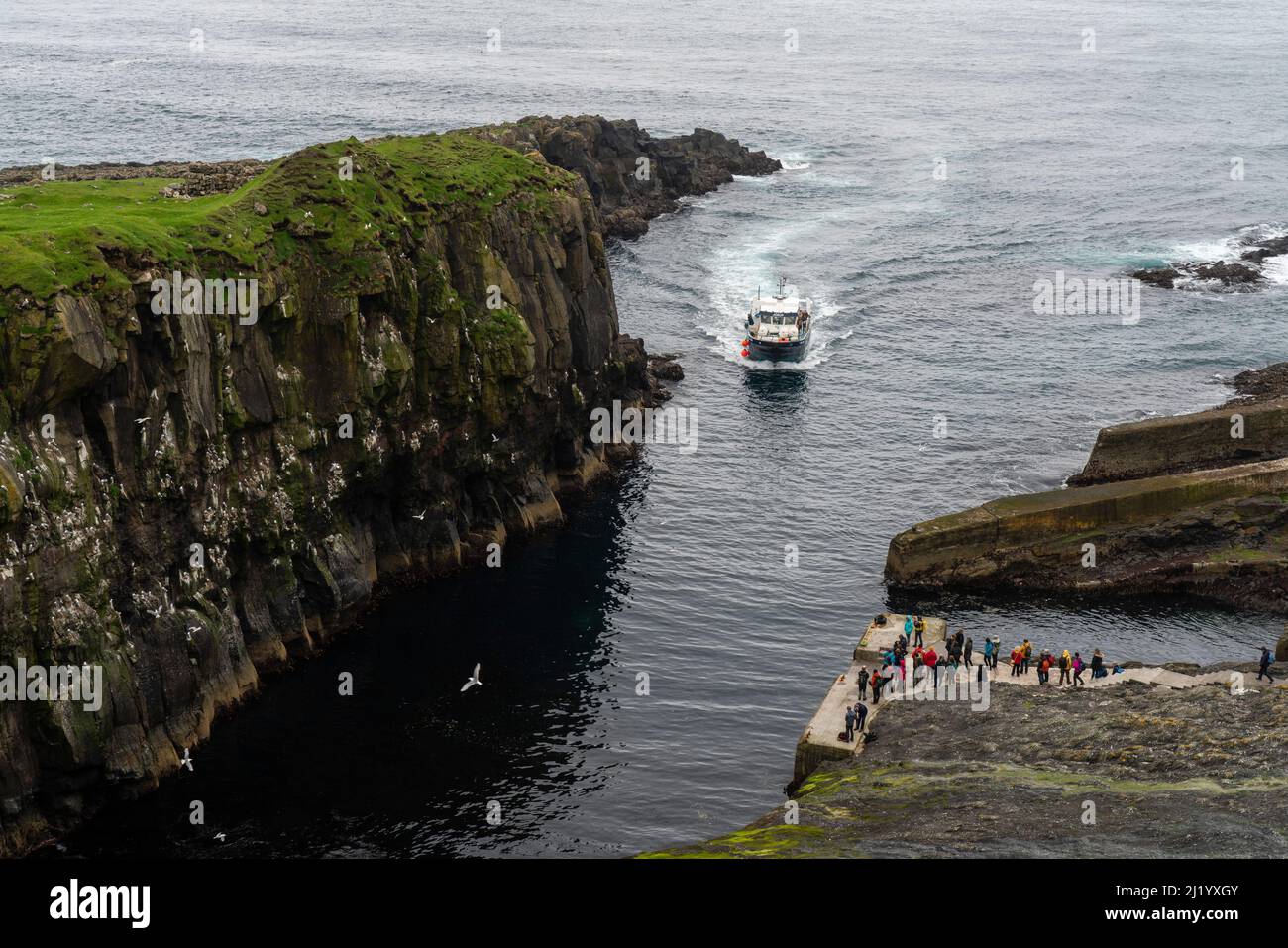 Mykines Island harbour, Faroe Islands, Denmark Stock Photo - Alamy