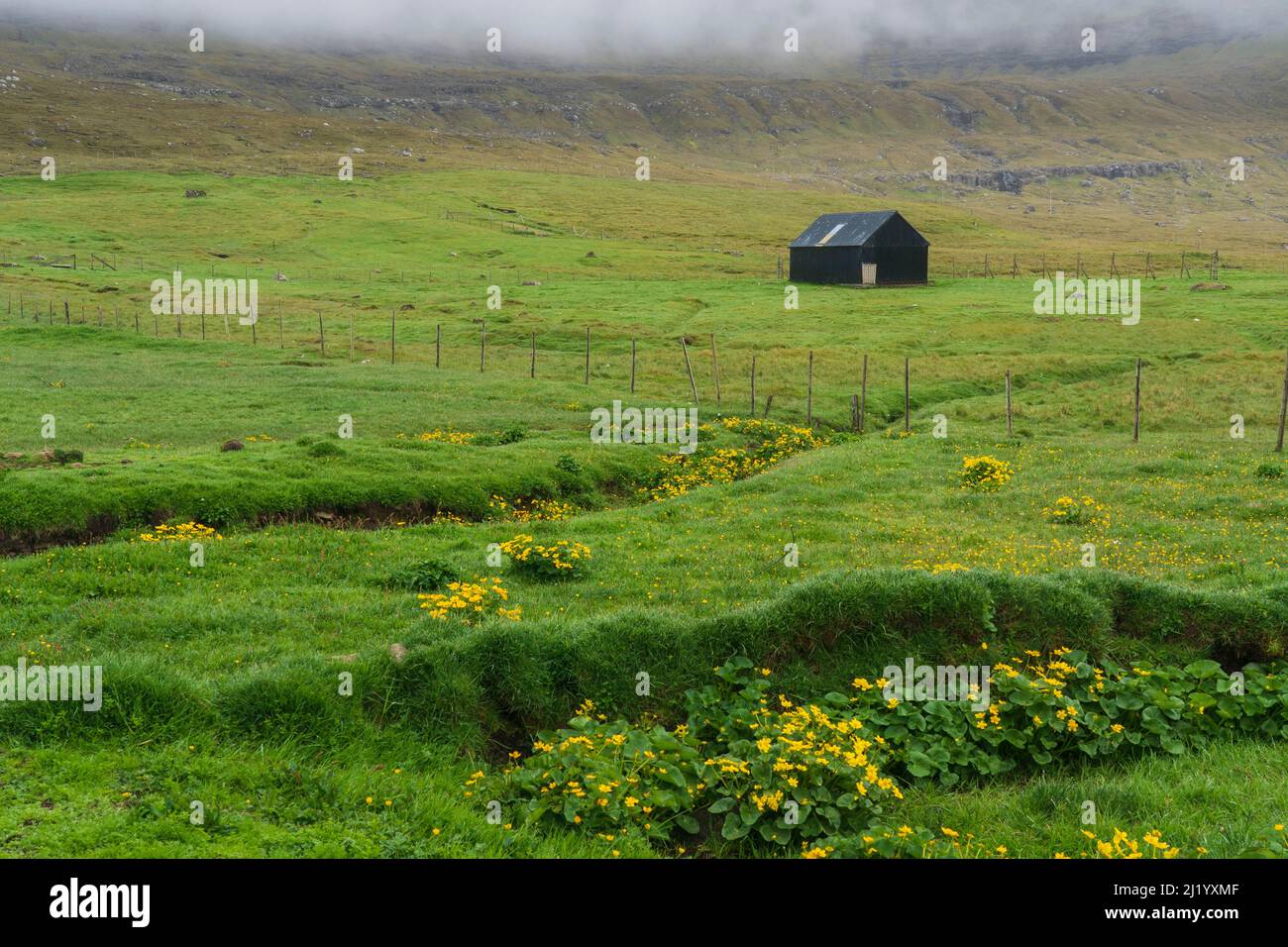 Svinoy, Northern Isles, Faroe Islands, Denmark Stock Photo - Alamy