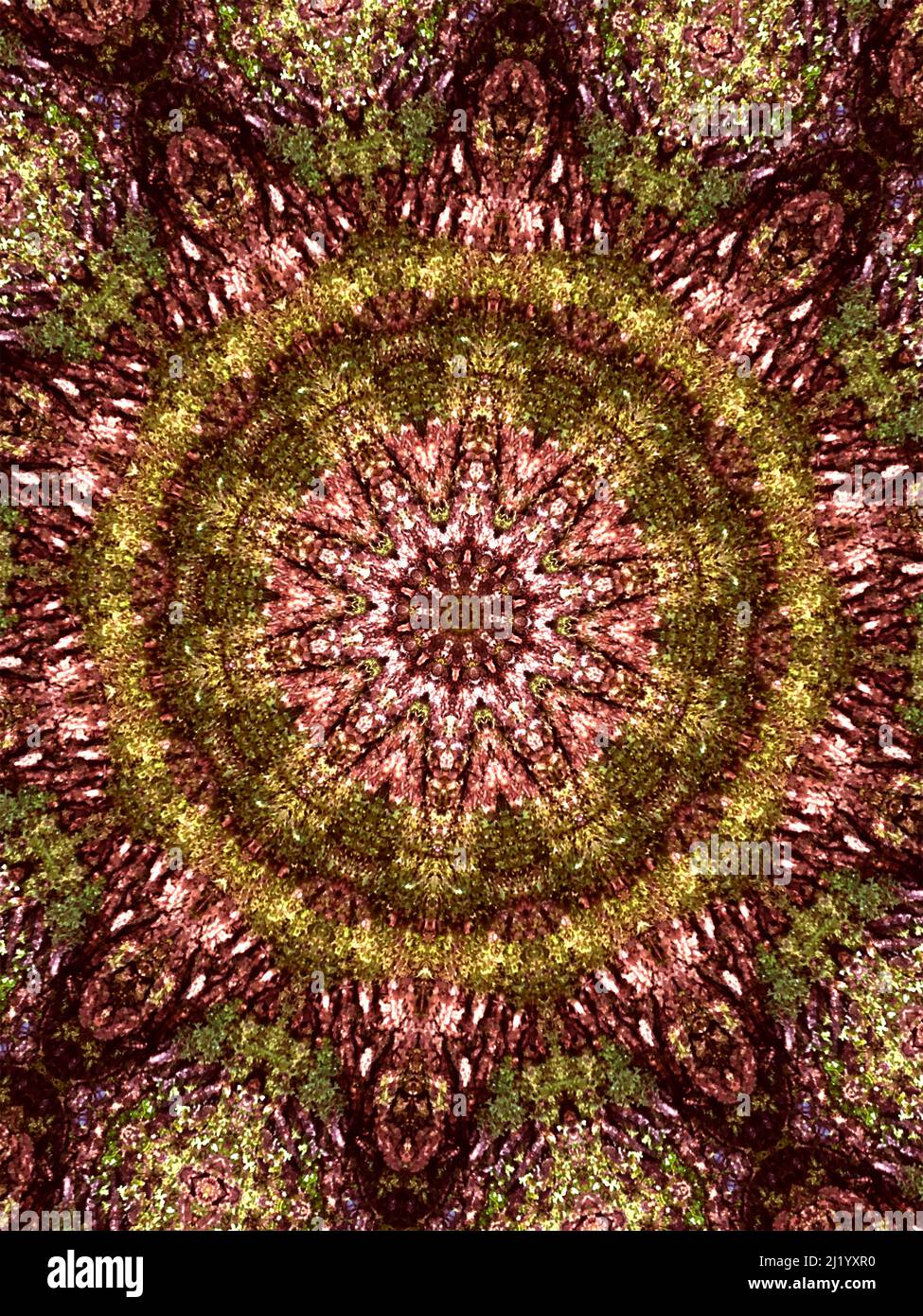 Geometric flower patterns circular hi-res stock photography and images ...