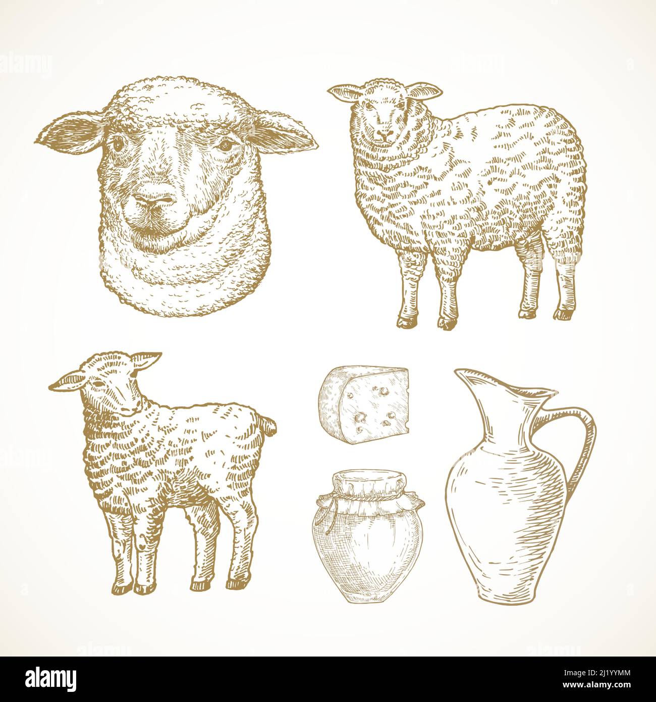 Sheep Lamb Farm Products and Objects. Cattle, Milk and Cheese Hand ...