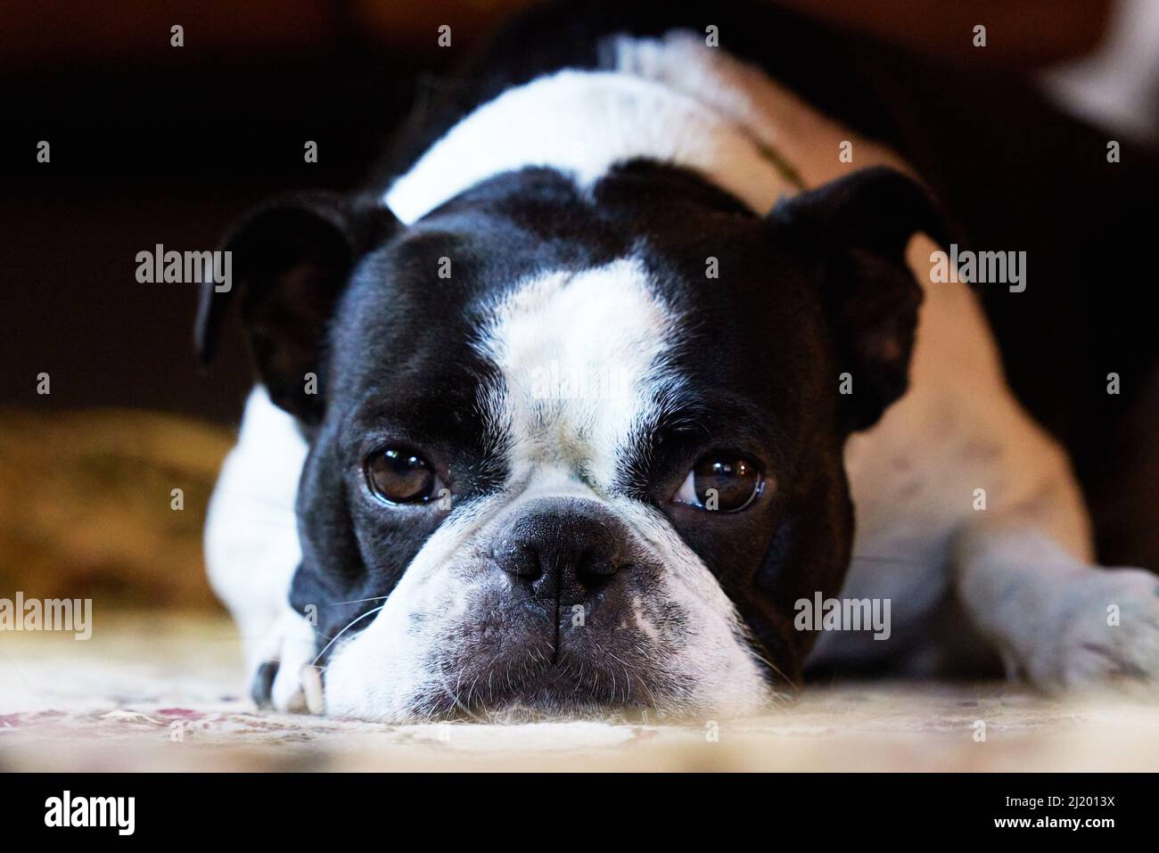 Overload home hi-res stock photography and images - Alamy