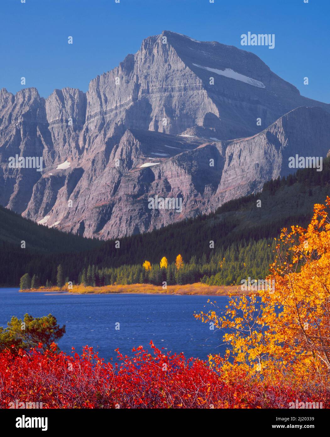 Swiftcurrent Lake and Mt Gould in Glacier National Park Stock Photo - Alamy