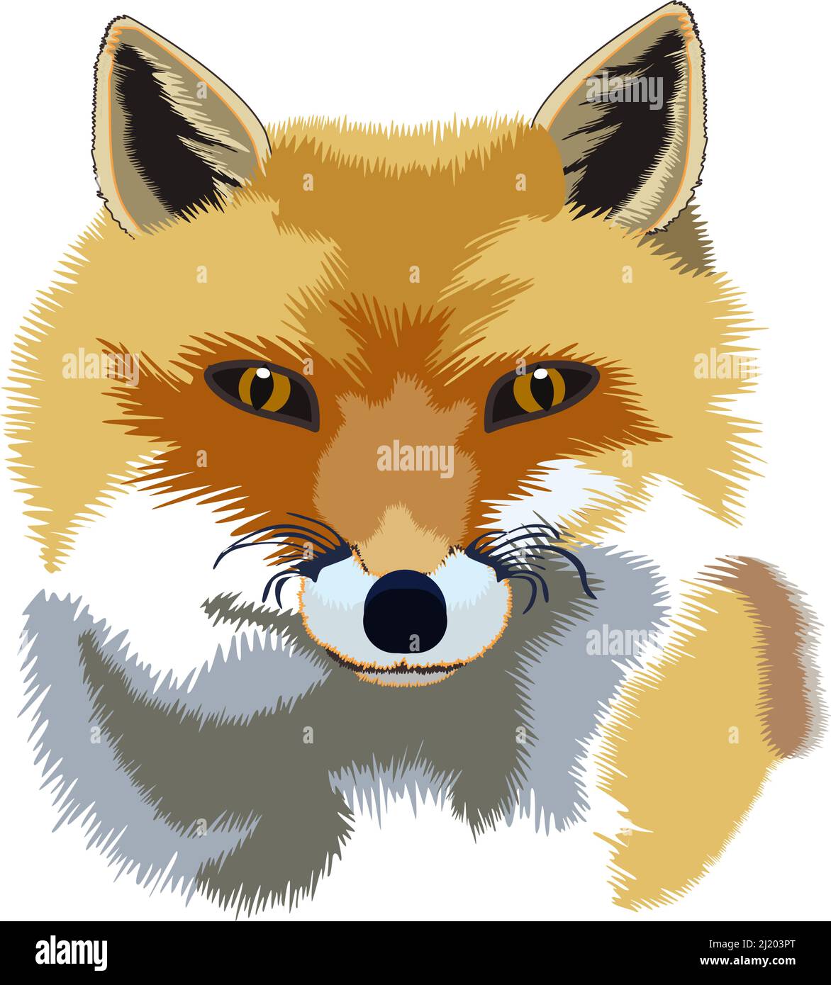 graphic fox head furry sketch Stock Vector Image & Art - Alamy