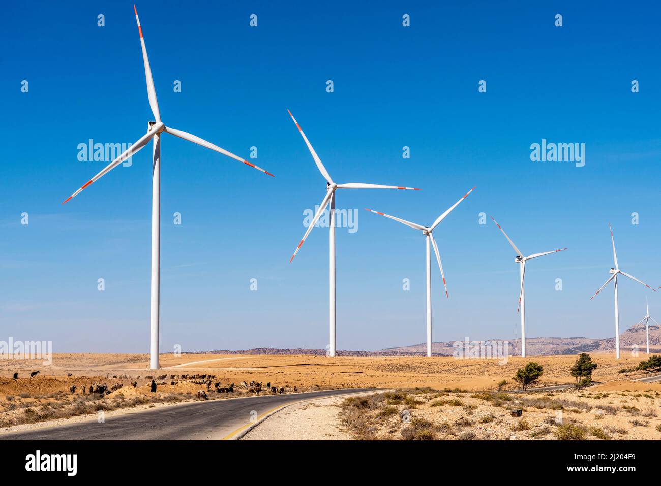 Wind Turbines near Petra, Jordan Stock Photo - Alamy