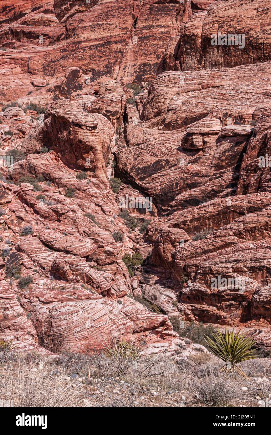 Las Vegas, Nevada, USA - February 23, 2010: Red Rock Canyon ...