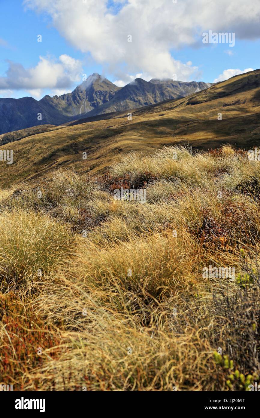 Kepler Track Fiordland New Zealand Stock Photo - Alamy