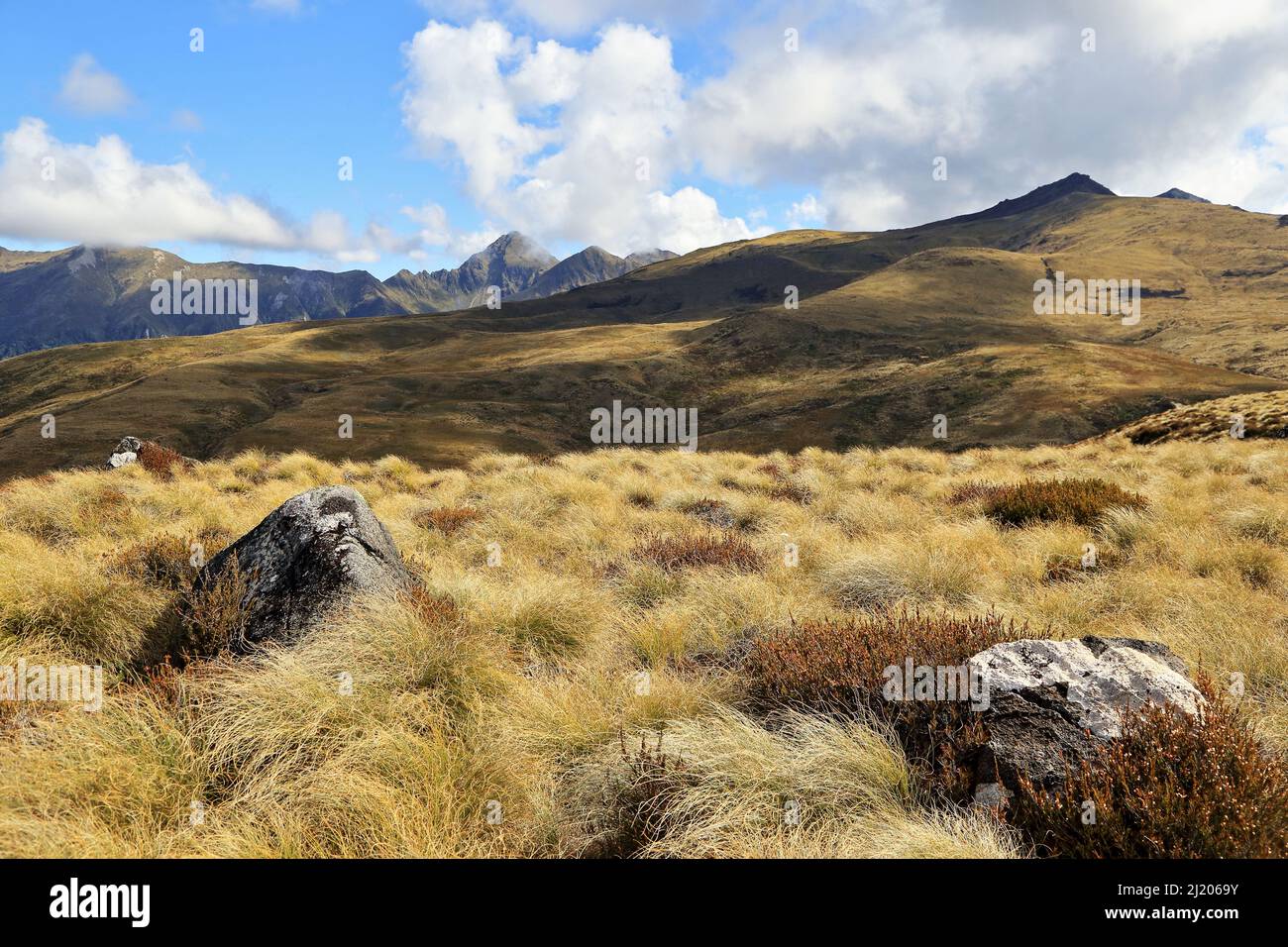 Kepler Track Fiordland New Zealand Stock Photo - Alamy