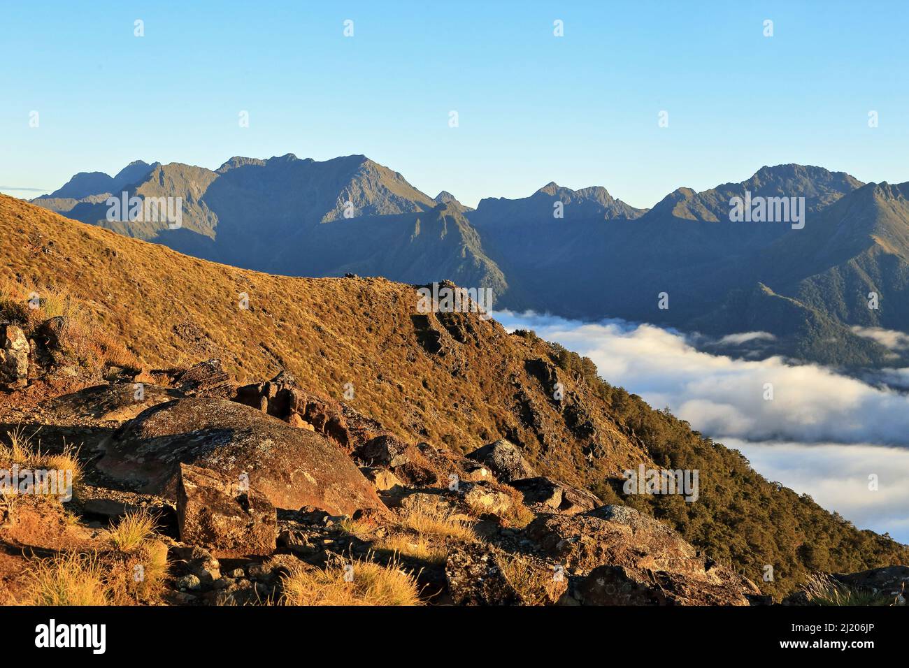 Kepler Track Fiordland New Zealand Stock Photo - Alamy