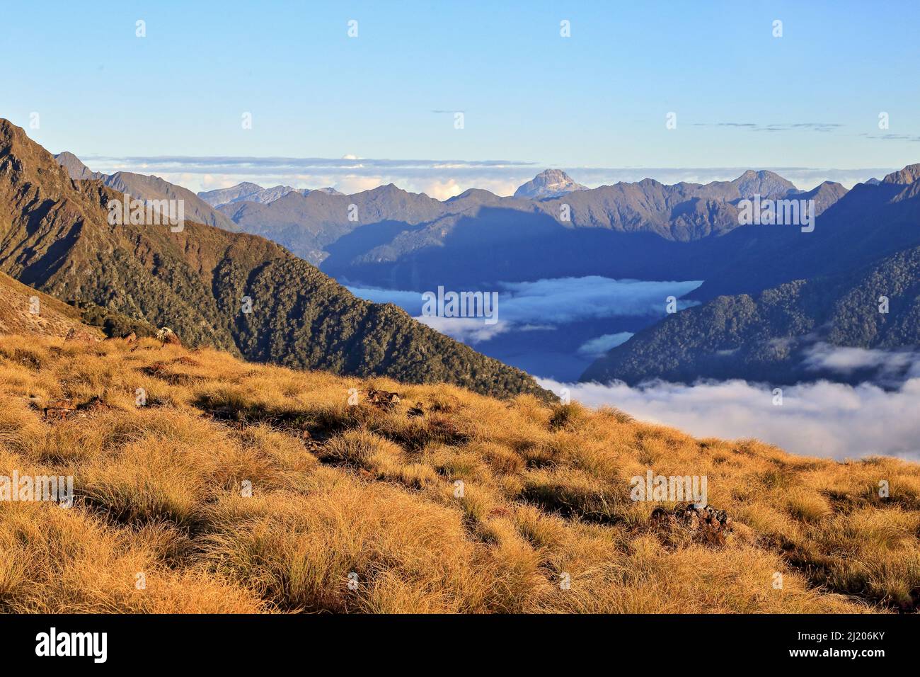 Kepler track fiordland new hi-res stock photography and images - Alamy