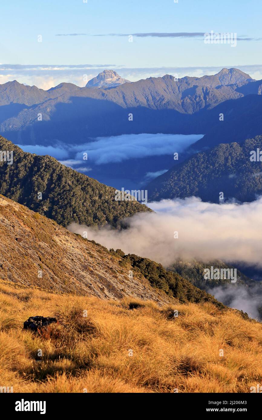 Kepler Track Fiordland New Zealand Stock Photo - Alamy