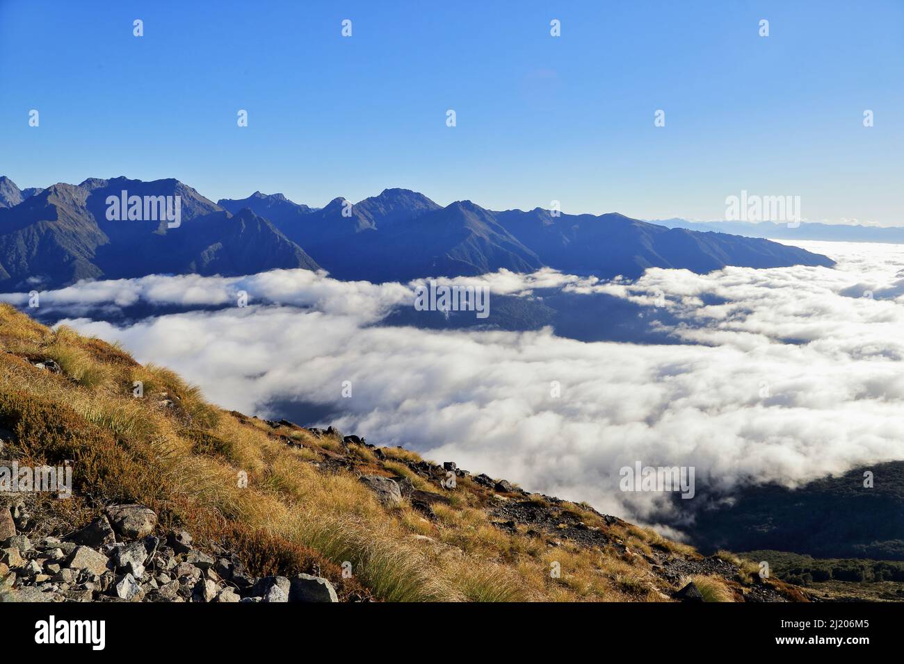 Kepler Track Fiordland New Zealand Stock Photo - Alamy