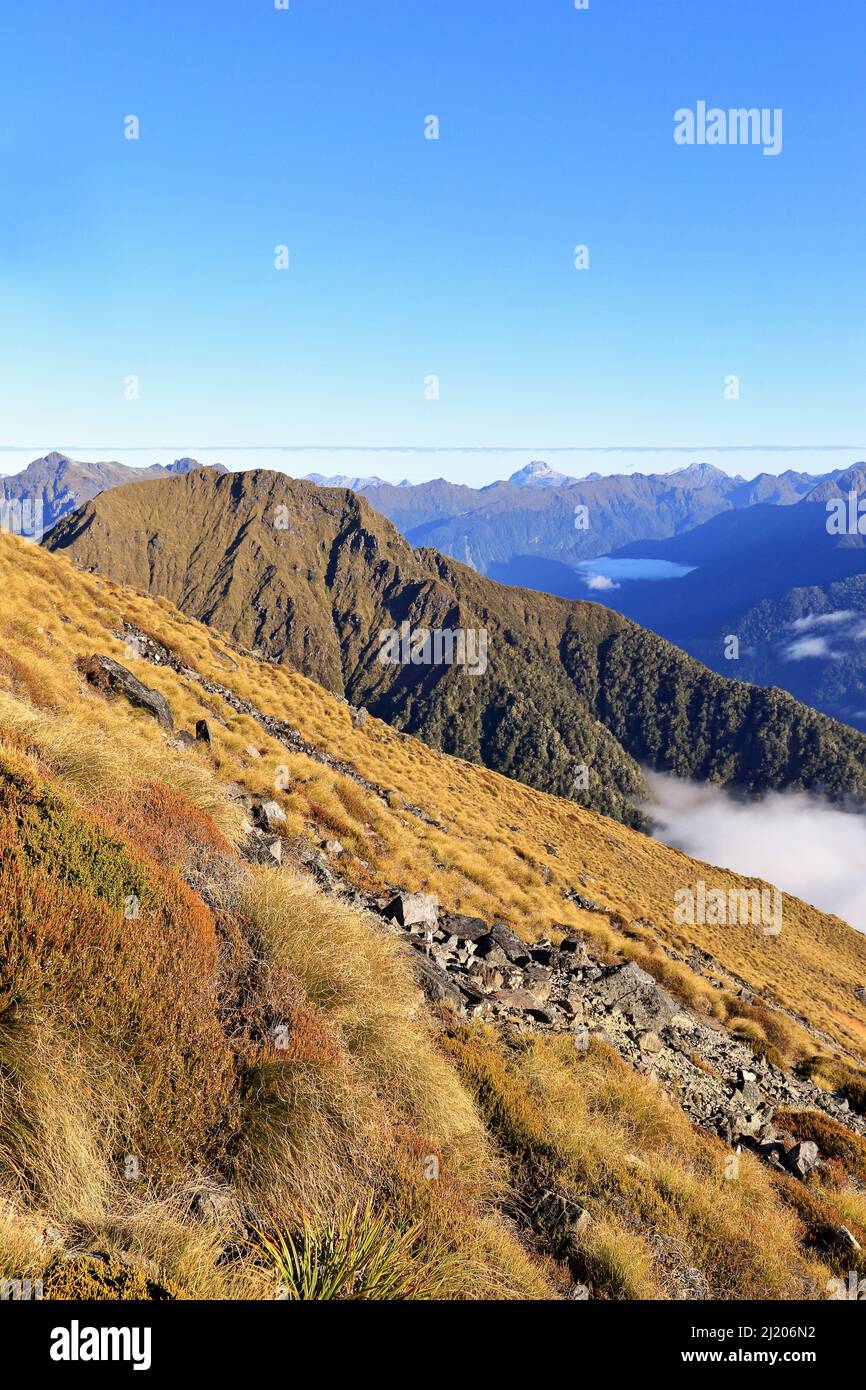 Kepler Track Fiordland New Zealand Stock Photo - Alamy
