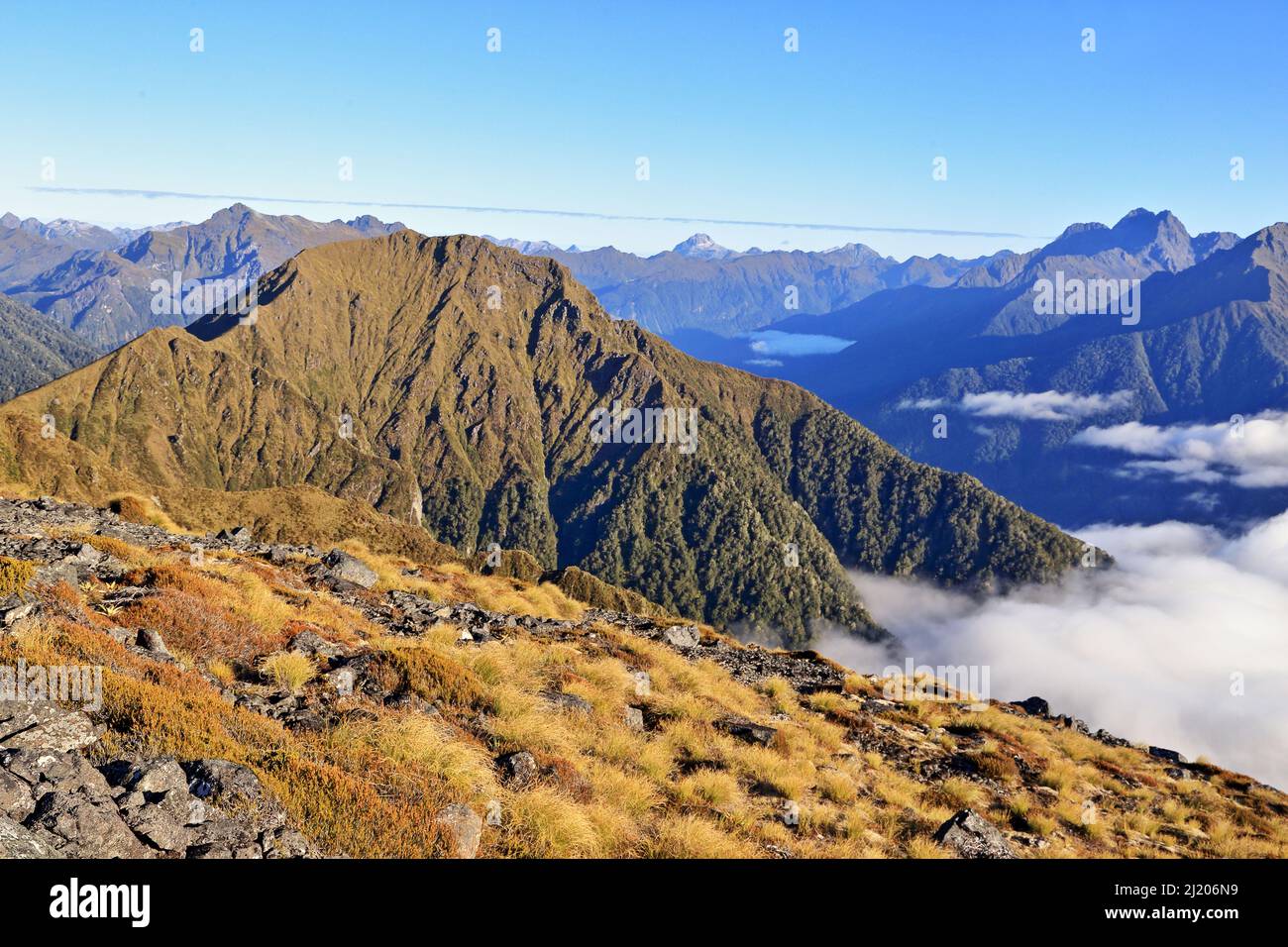 Kepler Track Fiordland New Zealand Stock Photo - Alamy