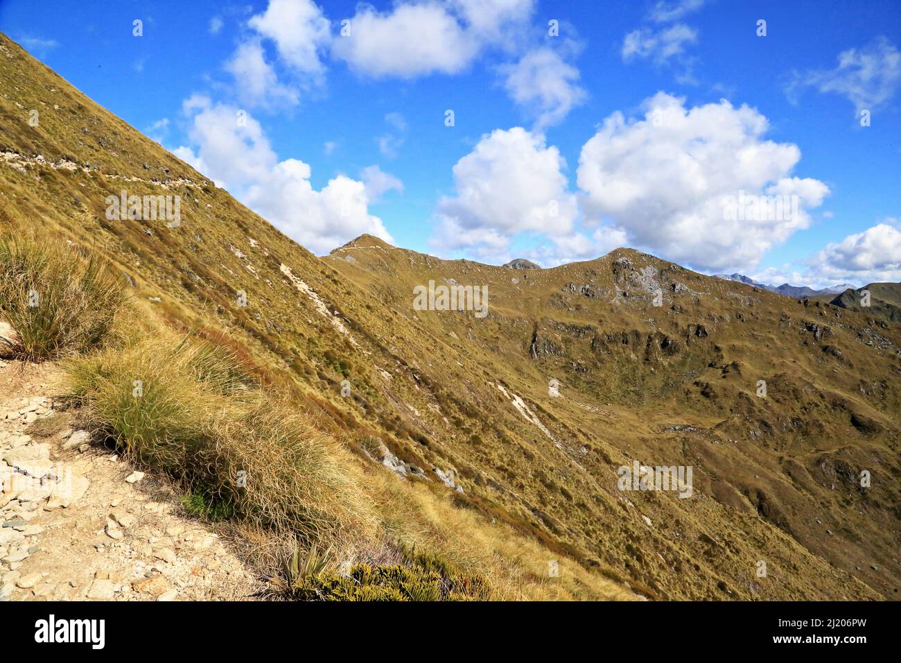 Kepler Track Fiordland New Zealand Stock Photo - Alamy