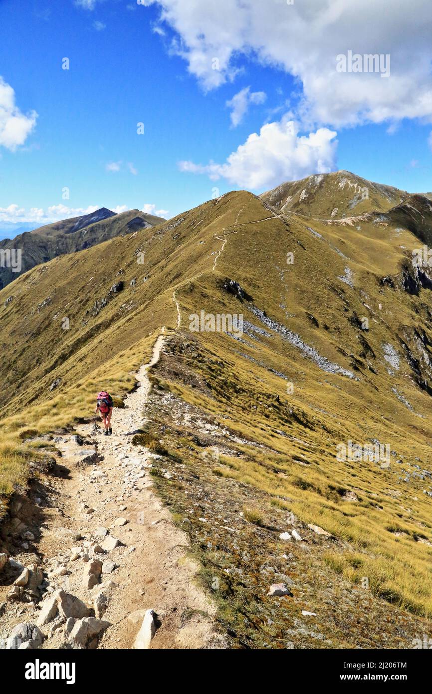Kepler Track Fiordland New Zealand Stock Photo - Alamy