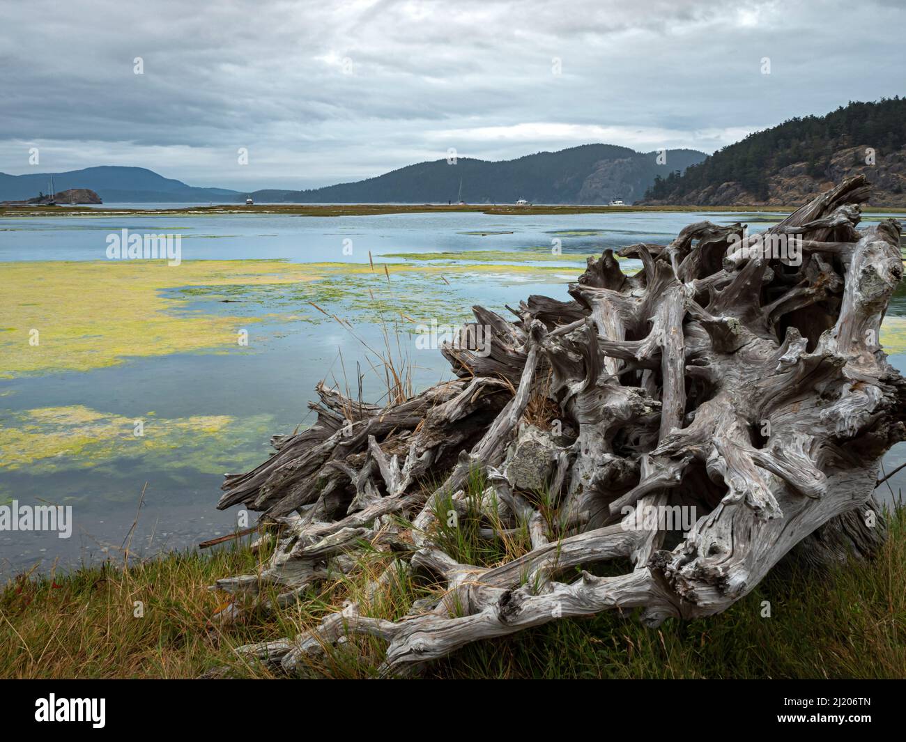 Salt chuck lagoon hi-res stock photography and images - Alamy
