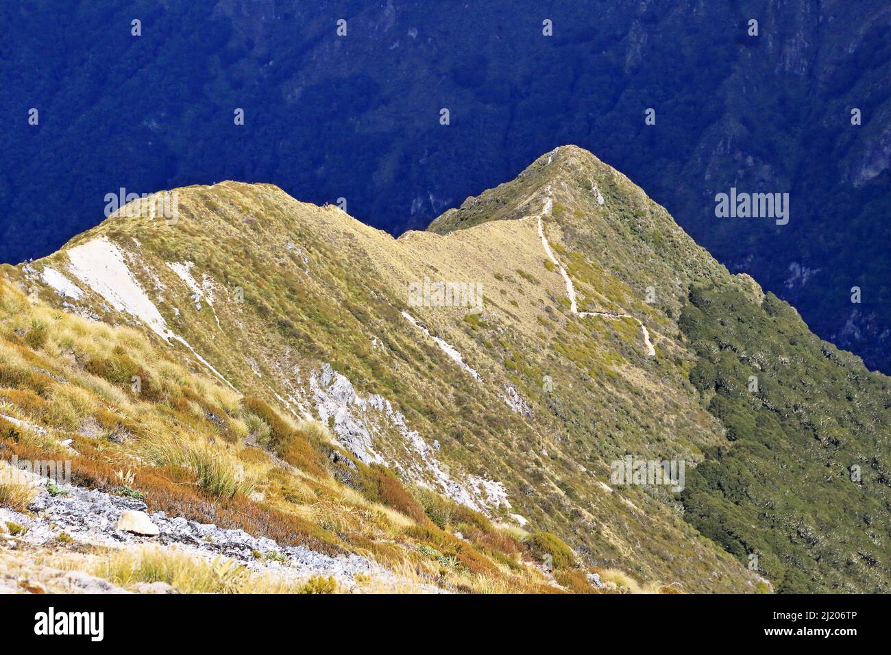 Kepler Track Fiordland New Zealand Stock Photo - Alamy