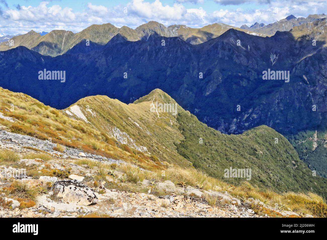 Kepler Track Fiordland New Zealand Stock Photo - Alamy