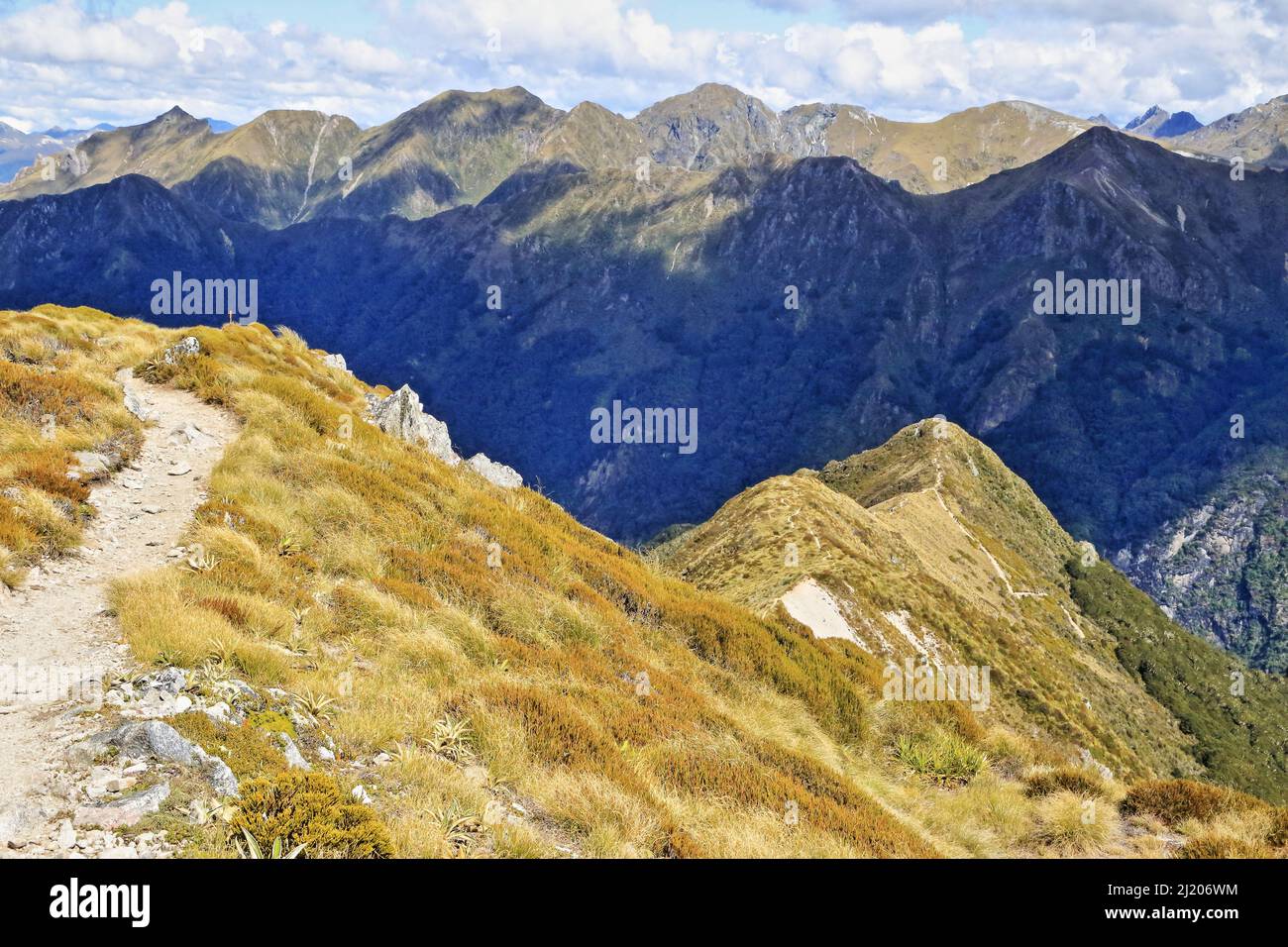 Kepler Track Fiordland New Zealand Stock Photo - Alamy