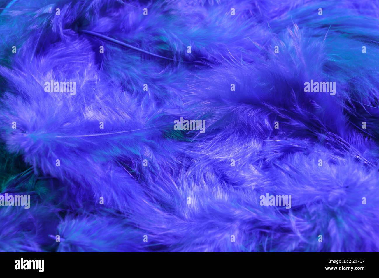 Beautiful soft feathers as background Stock Photo - Alamy