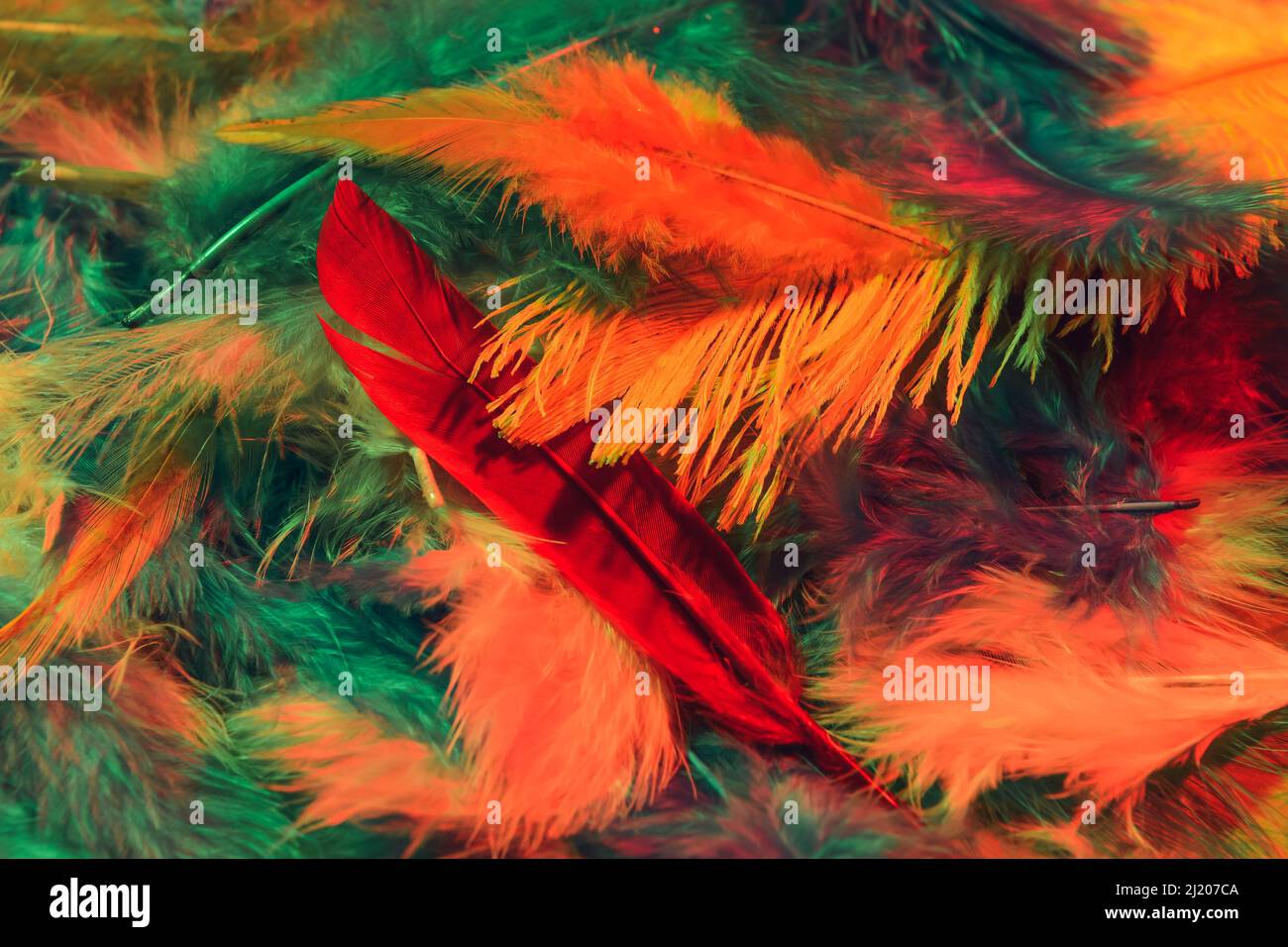 Pile of soft feathers hi-res stock photography and images - Alamy