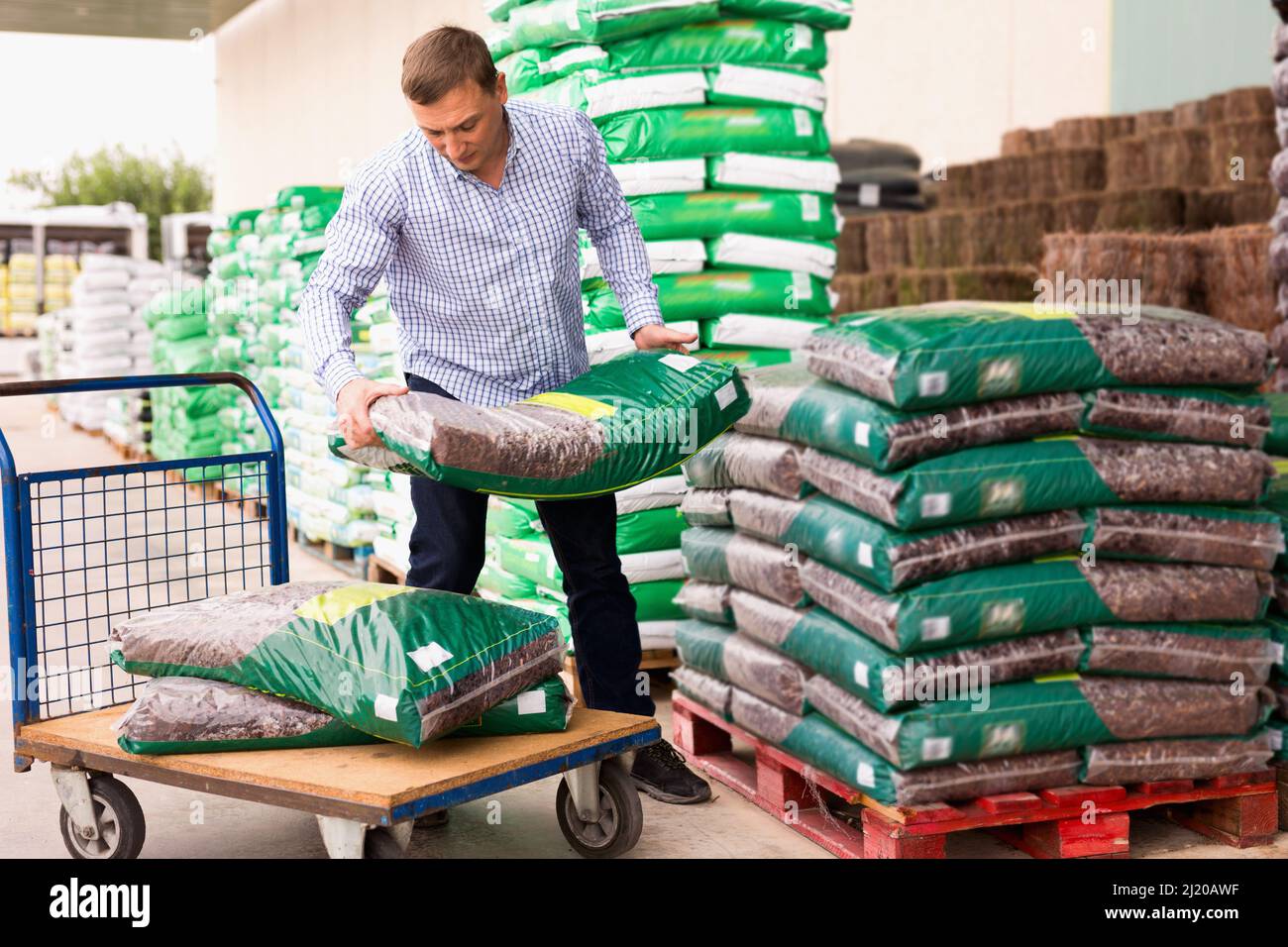 Man choosing compost soil in plastic bags in hypermarket Stock Photo ...