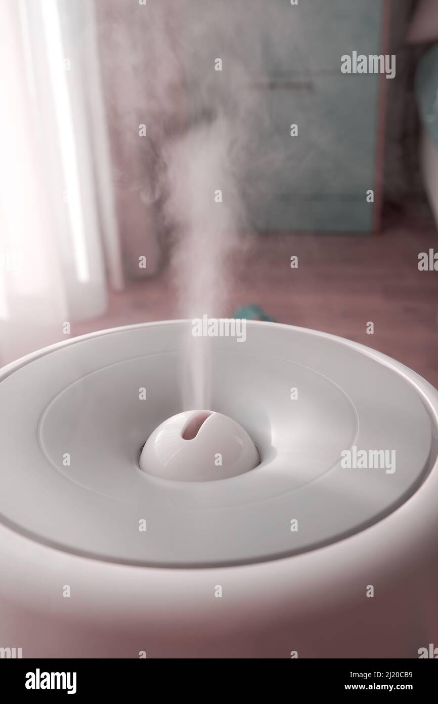 Home humidifier in interior with a stream of water vapor. House climate ...