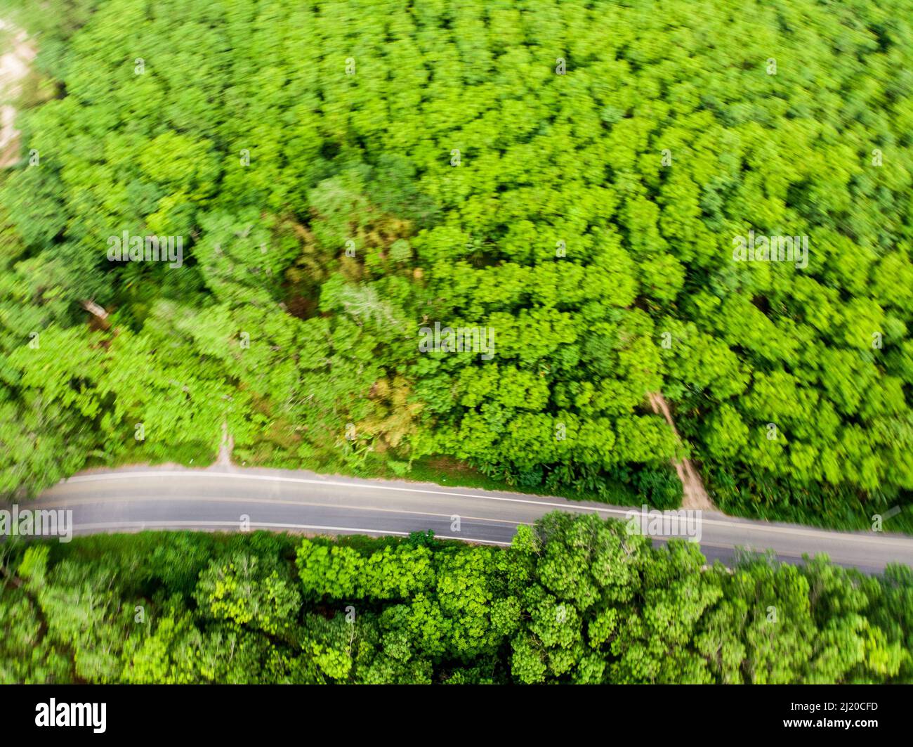 Aerial view of a asphalt road in the middle of the tropical green ...