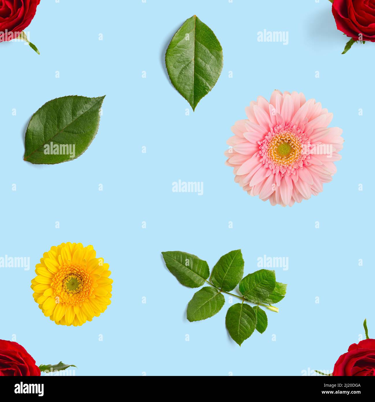 summer flowers seamless pattern. Gerbera and rose pattern Stock Photo ...