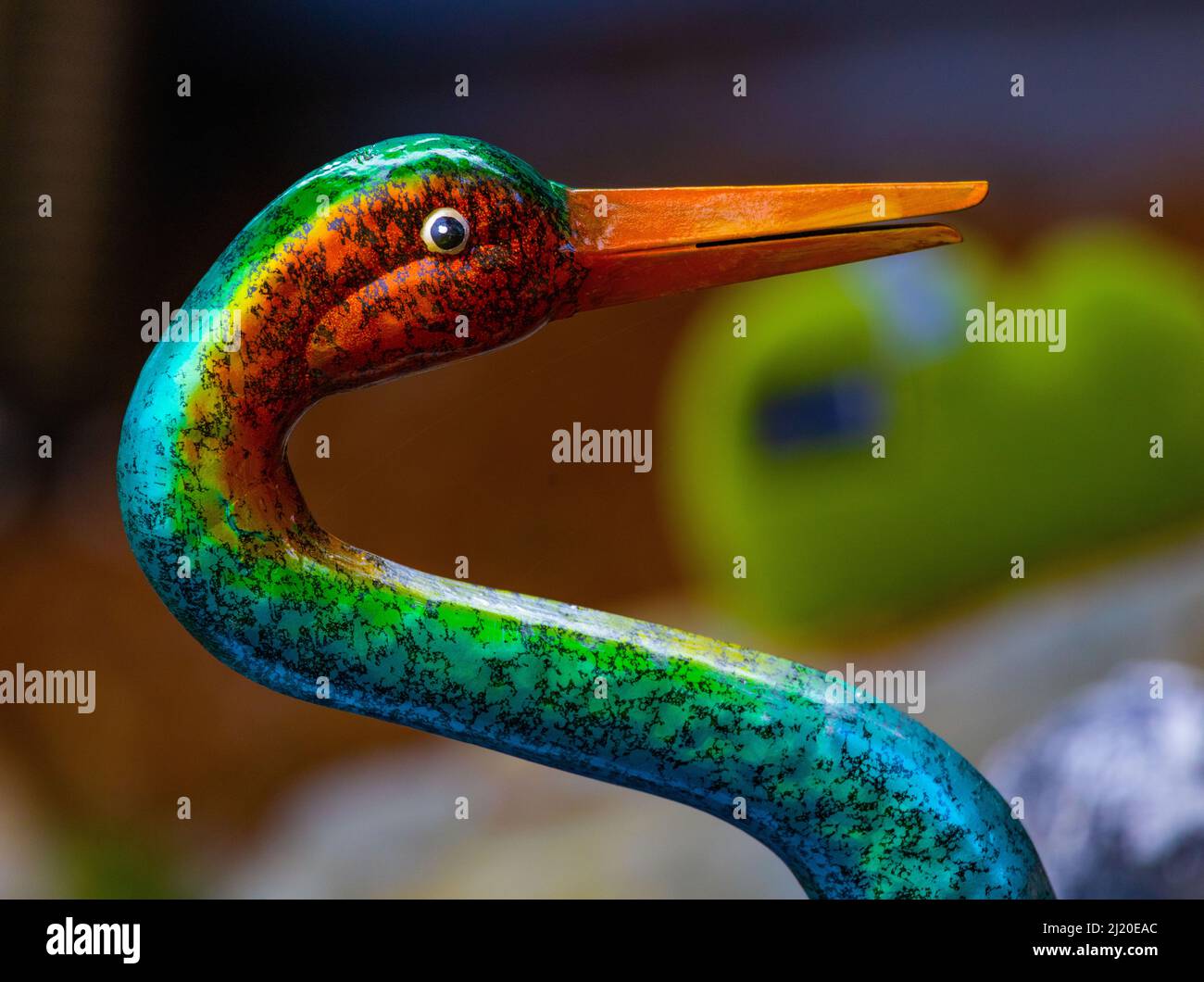 Rainbow hummingbird hi-res stock photography and images - Alamy