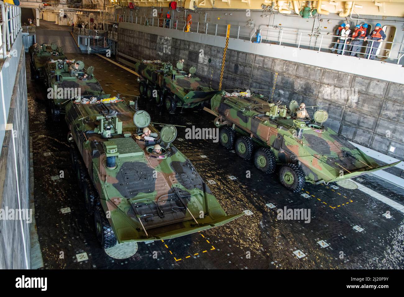 U.S. Marines assigned to the 3rd Assault Amphibian Battalion, 1st ...