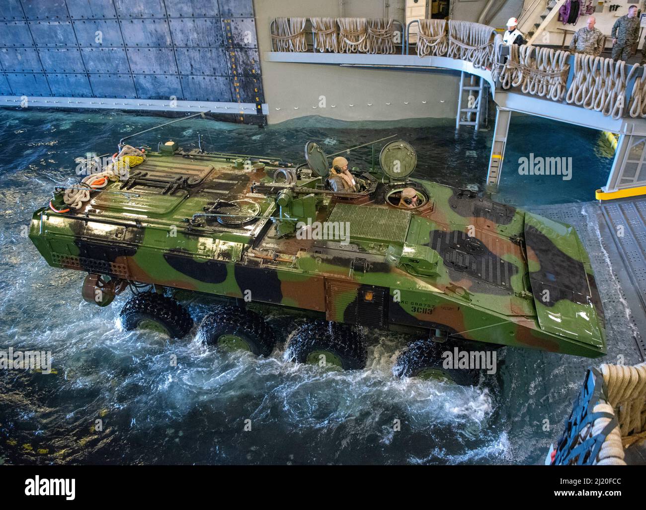 U.S. Marines assigned to the 3rd Assault Amphibian Battalion, 1st ...