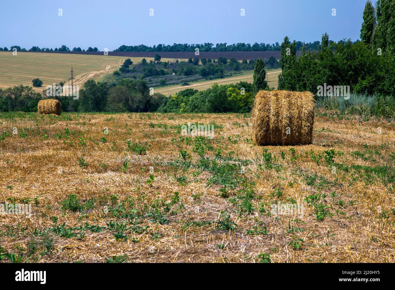Rural landscape with wheat field after harvesting Stock Photo - Alamy