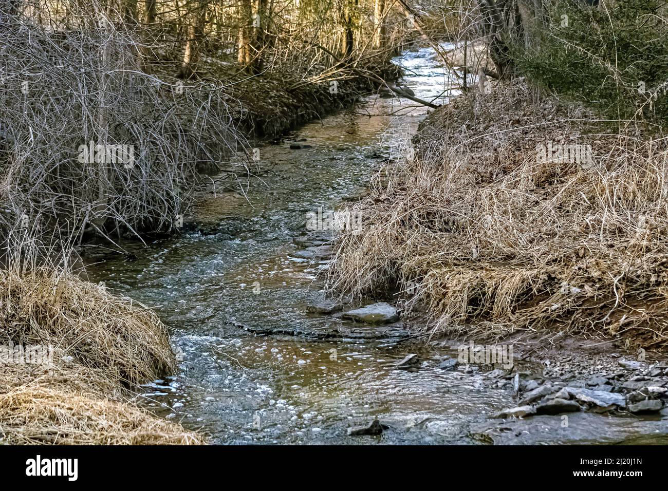 Small brook flows hi-res stock photography and images - Alamy