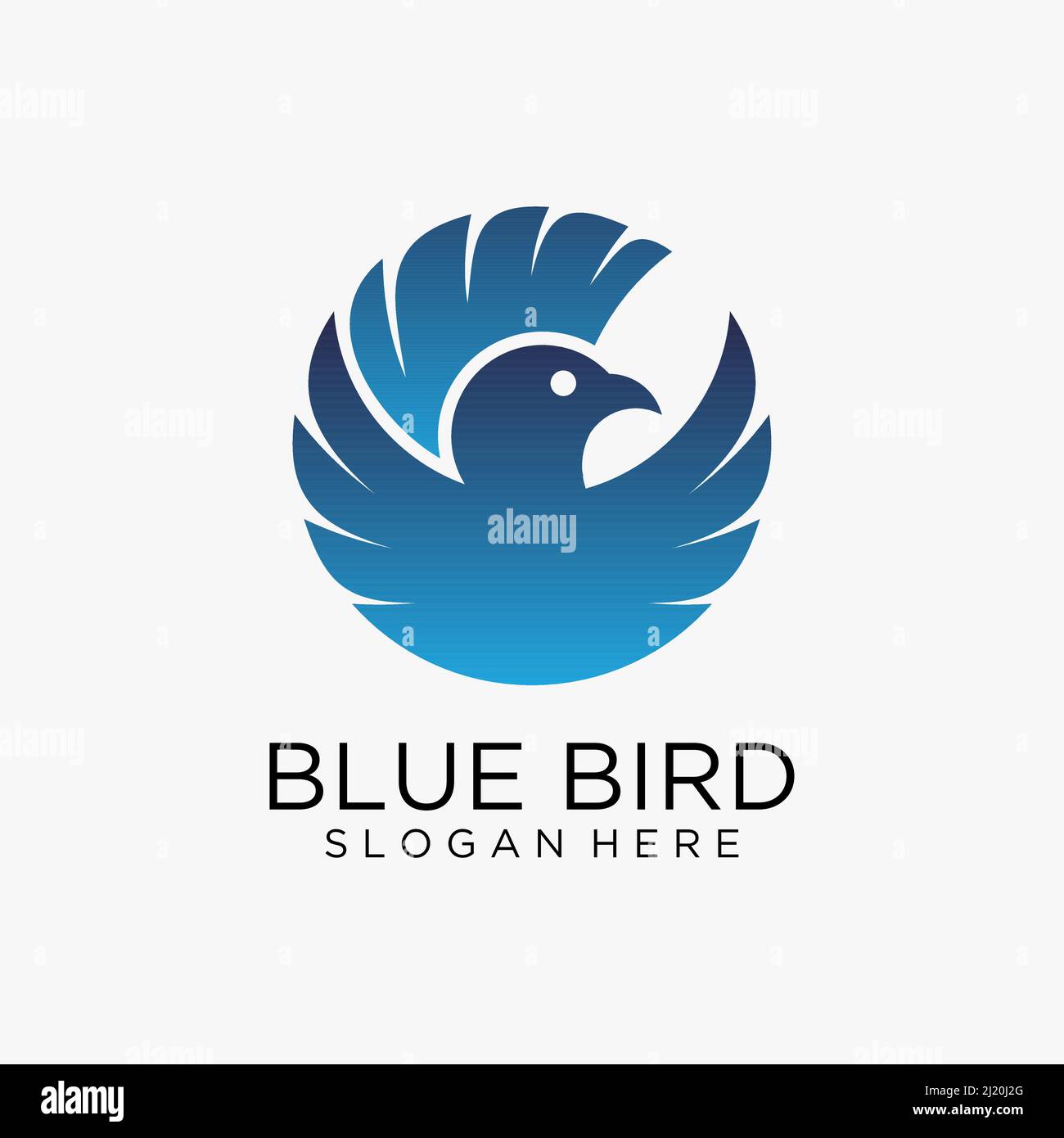 Circle bird logo design Stock Vector Image & Art - Alamy