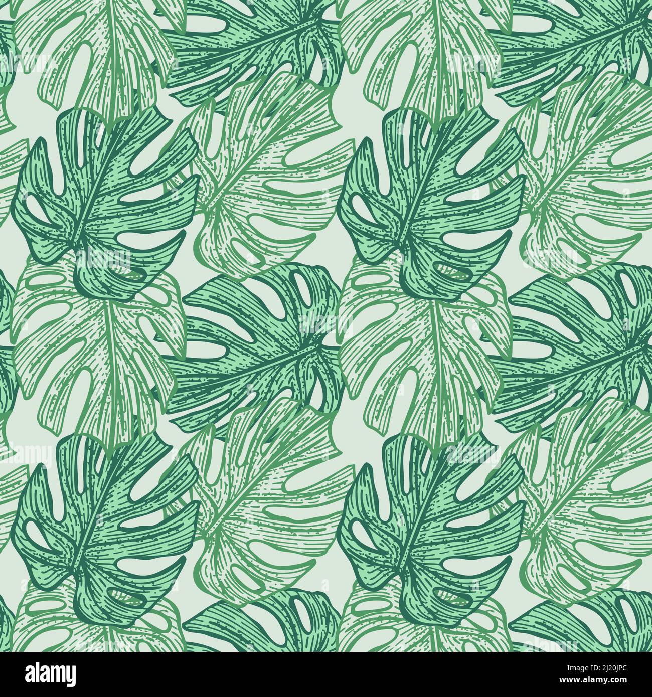 Tropical Monstera leaf seamless pattern. Jungle leaves background ...