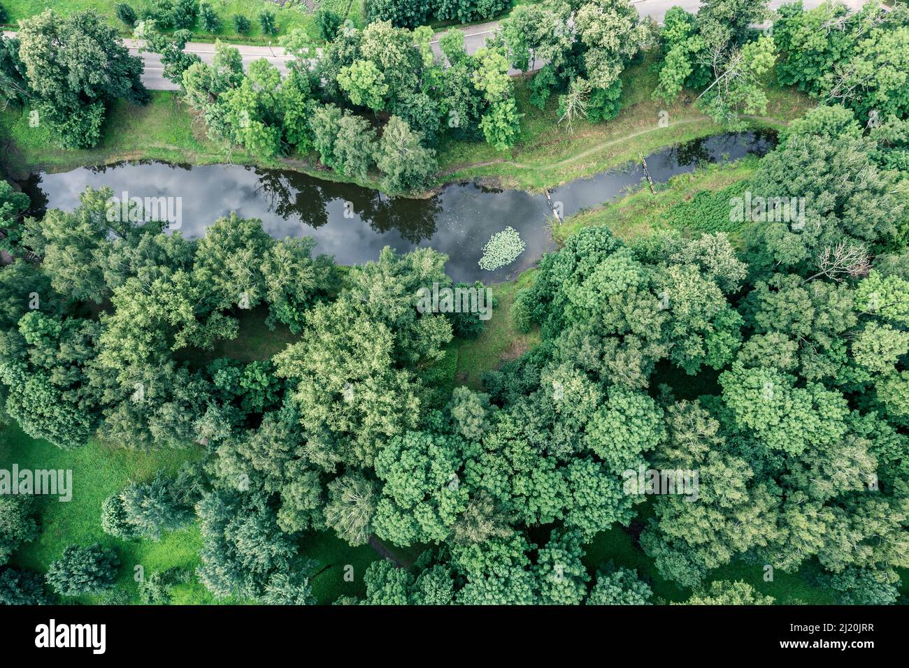 summer park landscape. green deciduous trees on the bank of small river ...