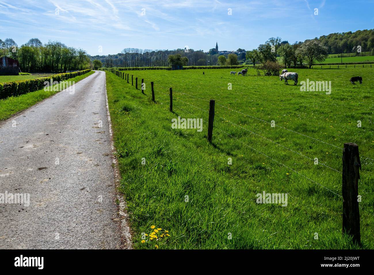 Benelux landscape hi-res stock photography and images - Alamy